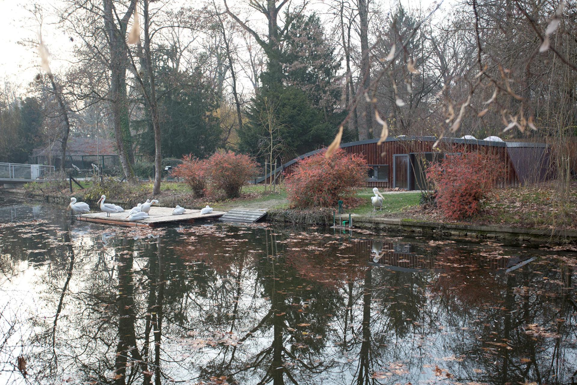 Pelican House – Poparh